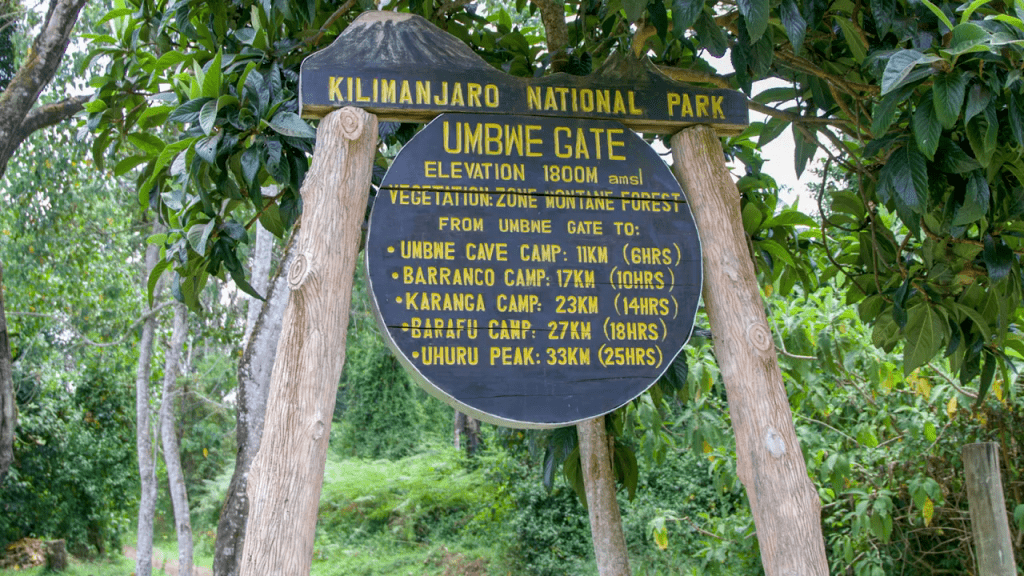 Climb Kilimanjaro via the Scenic and Steep Umbwe Route